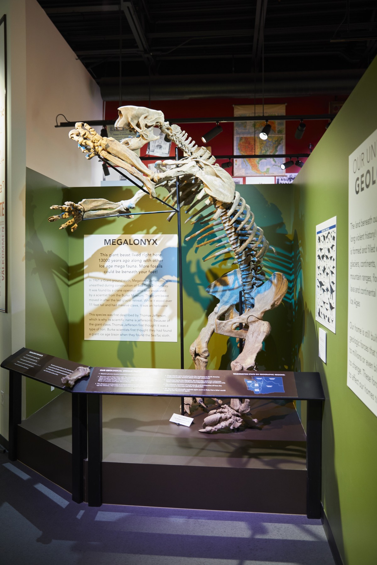 Strange and Fascinating Facts about Seattle Southside | Explore Seattle ...
