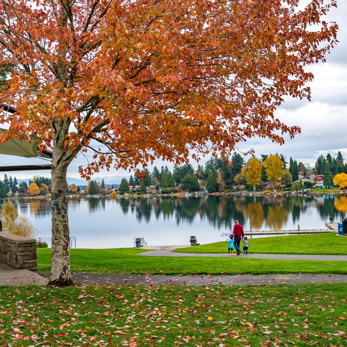 Does it Always Rain in Seattle? | Explore Seattle Southside