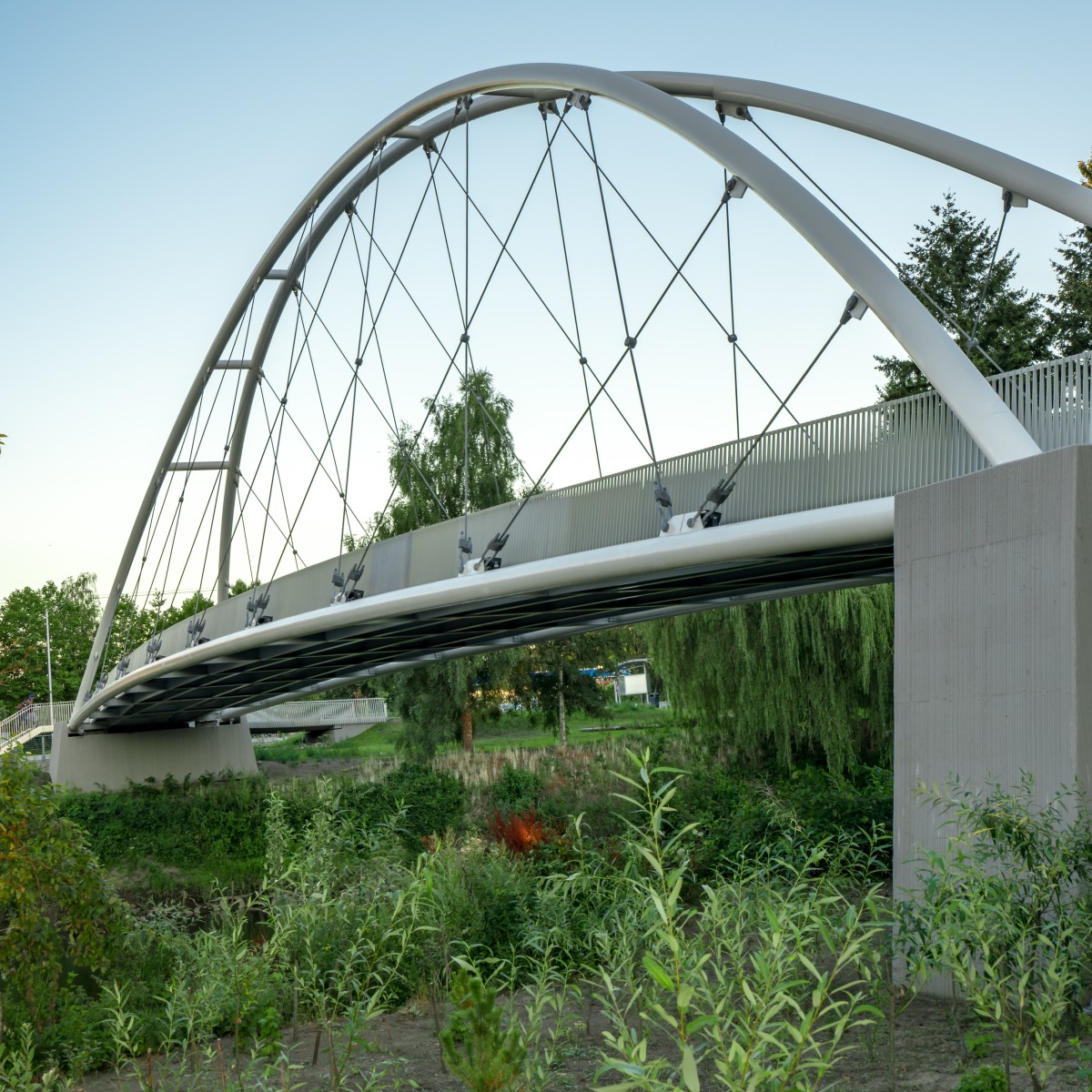 Where to See the Annual Salmon Run in Seattle Southside | Explore ...