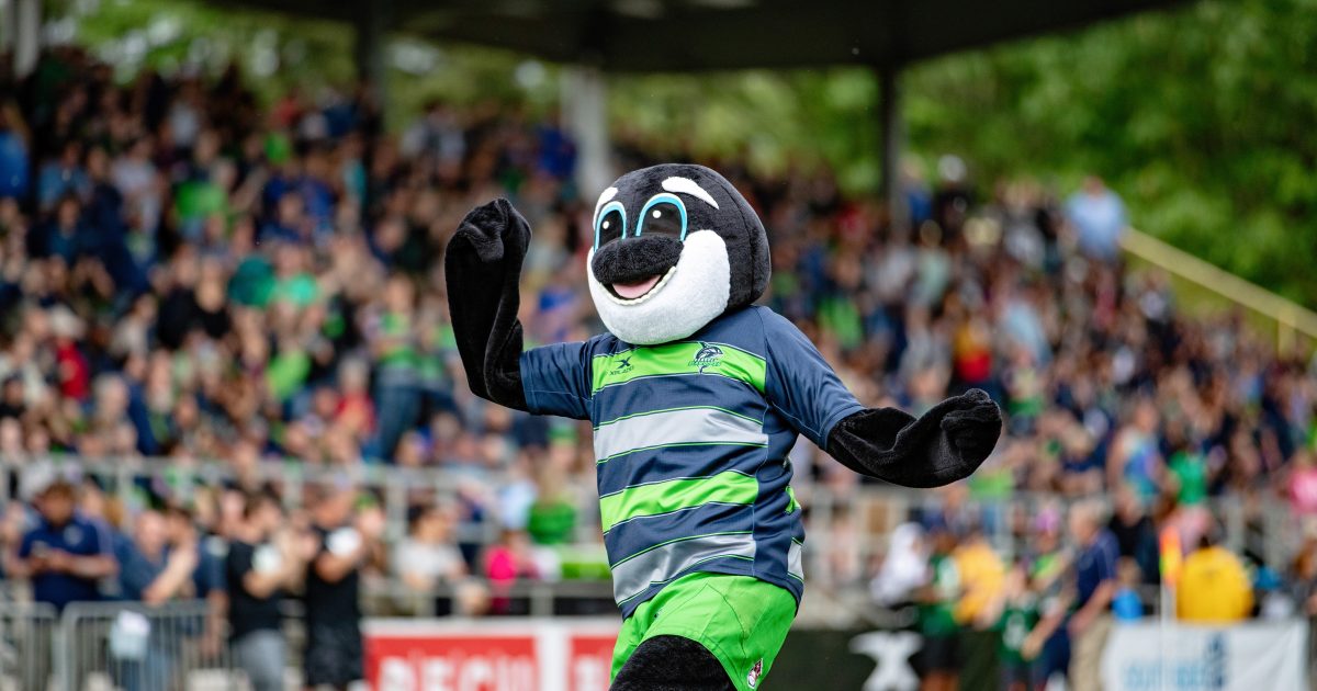 Explore Seattle Southside | See the Seawolves Hunt
